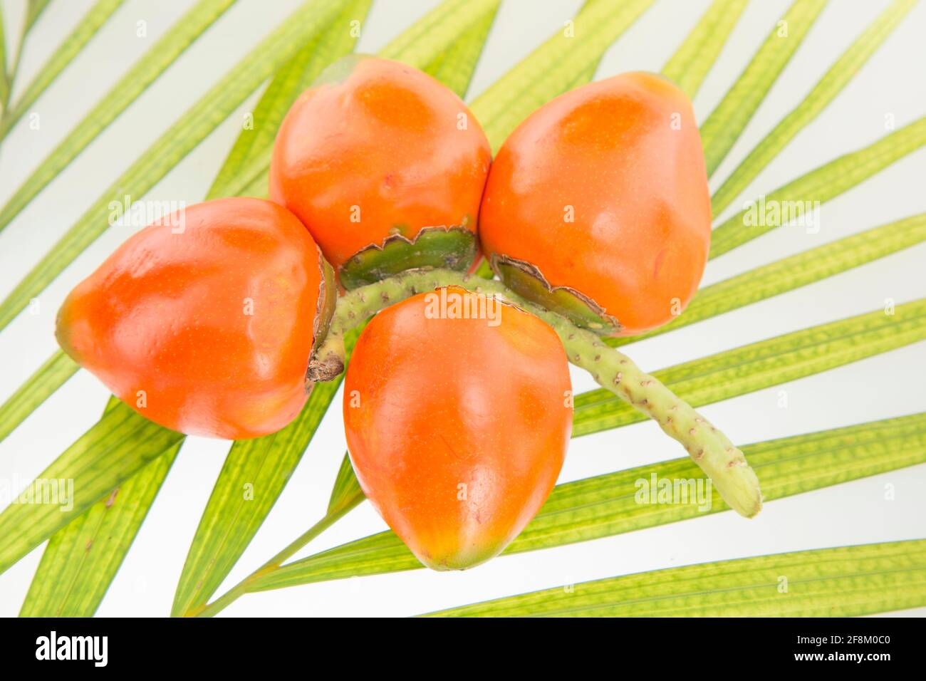 Chontaduro delicious tropical fruit - Bactris gasipaes Stock Photo - Alamy