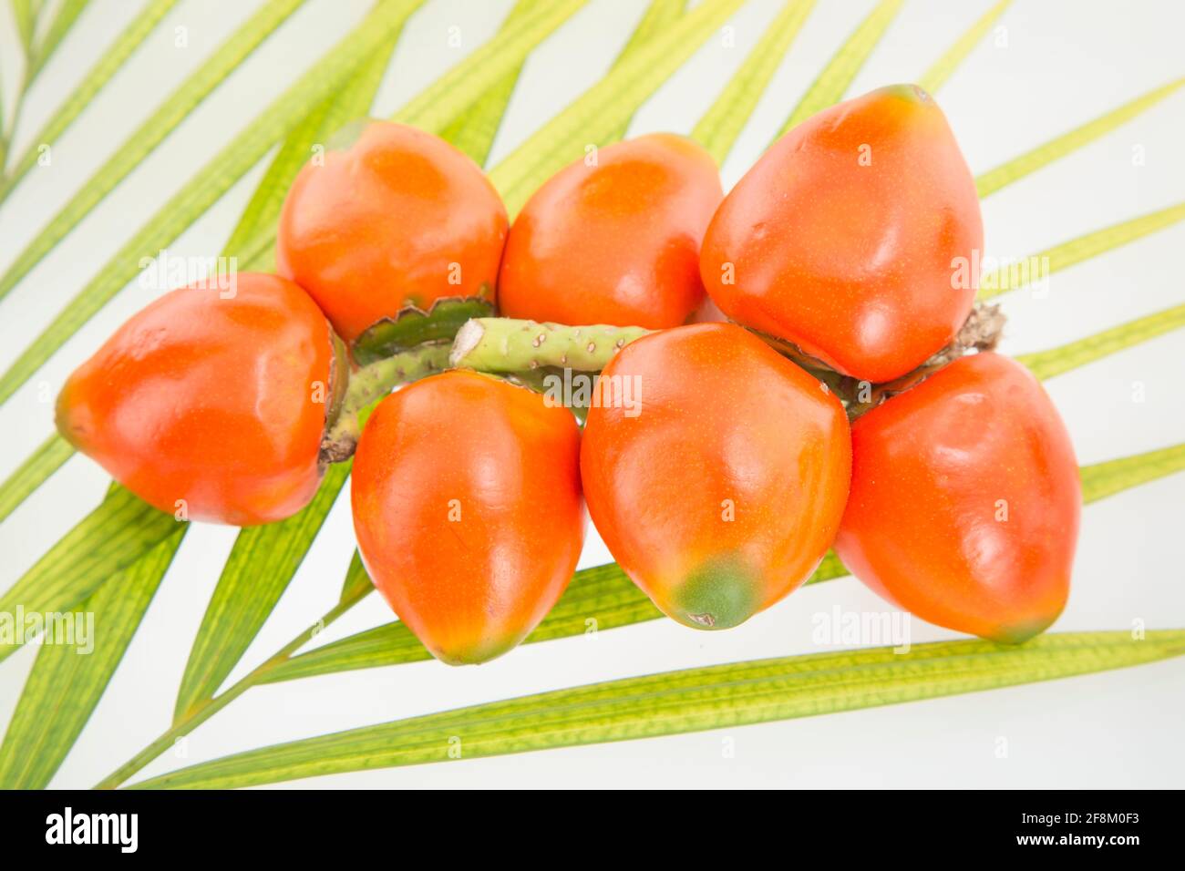 Chontaduro delicious tropical fruit - Bactris gasipaes Stock Photo - Alamy