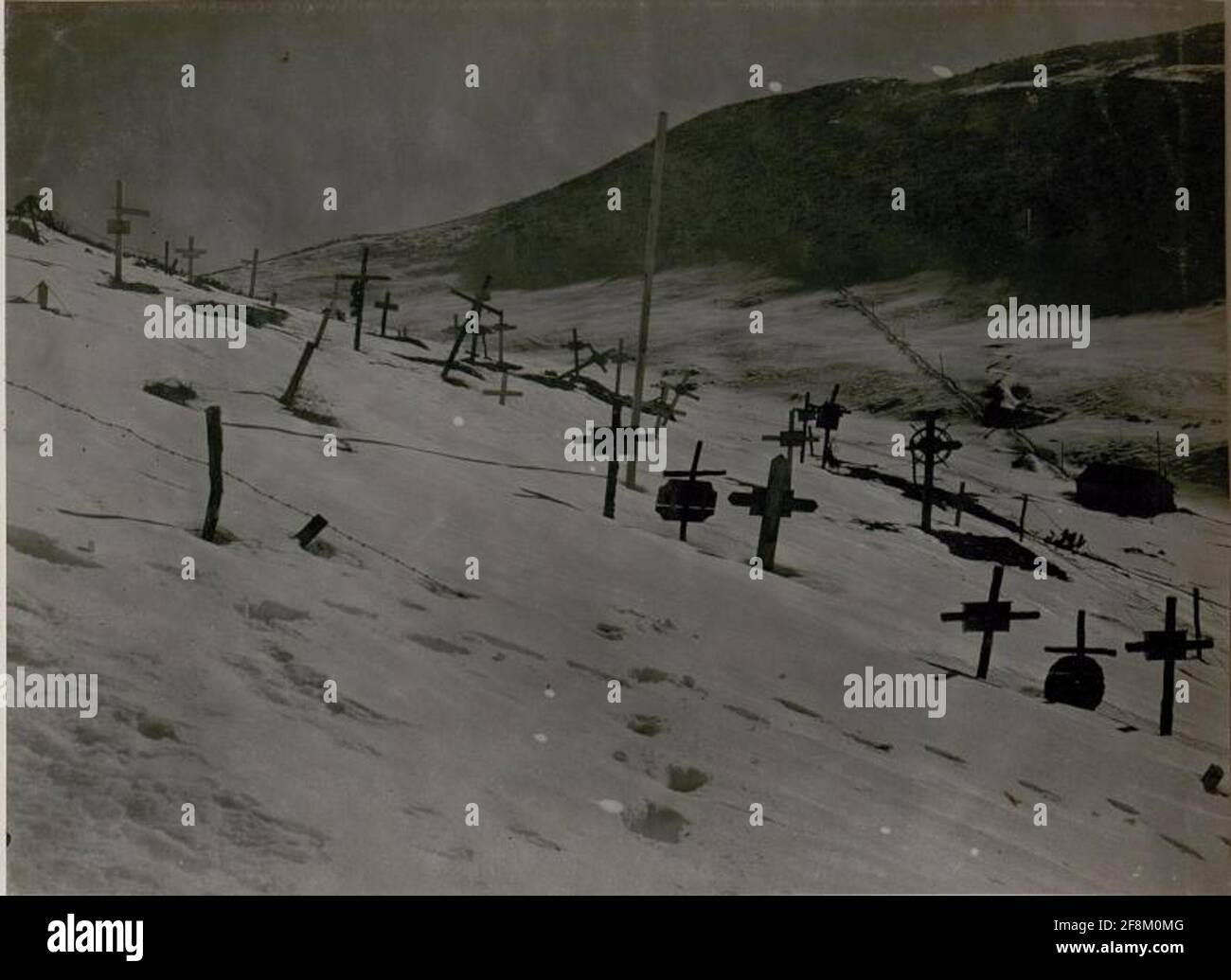 Moulde hi-res stock photography and images - Alamy