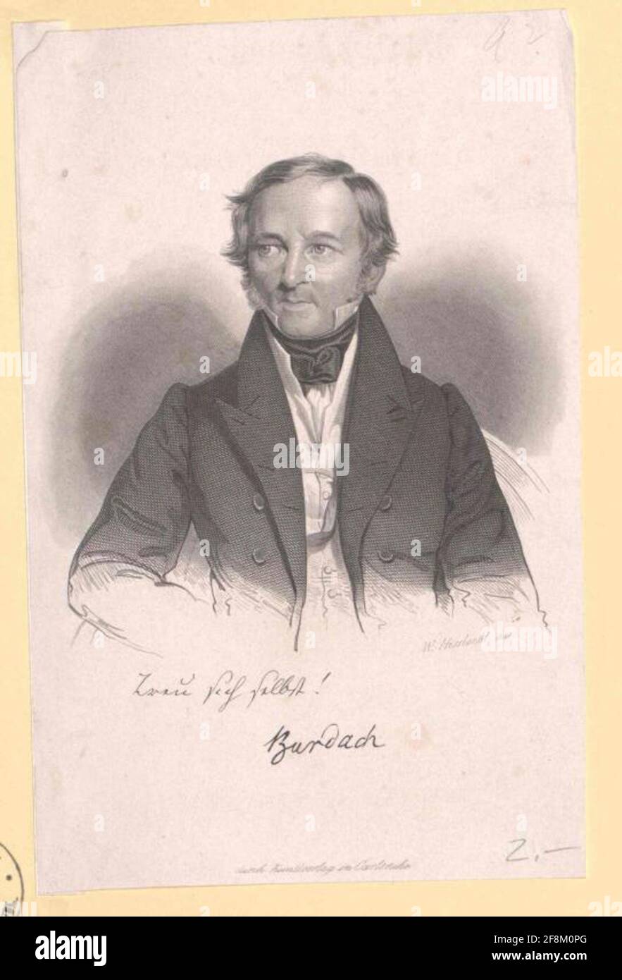 Burdach hi-res stock photography and images - Alamy