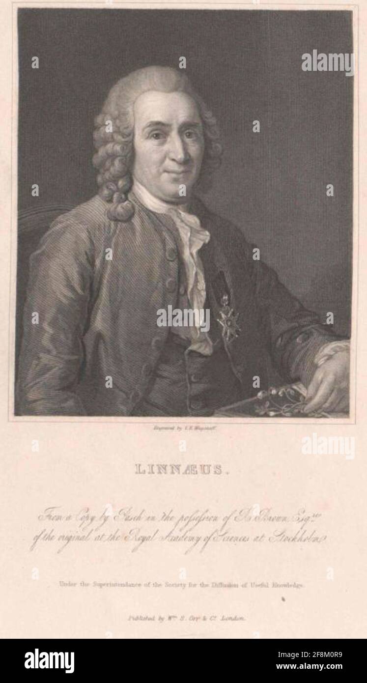 Linné, Charles of Stock Photo - Alamy