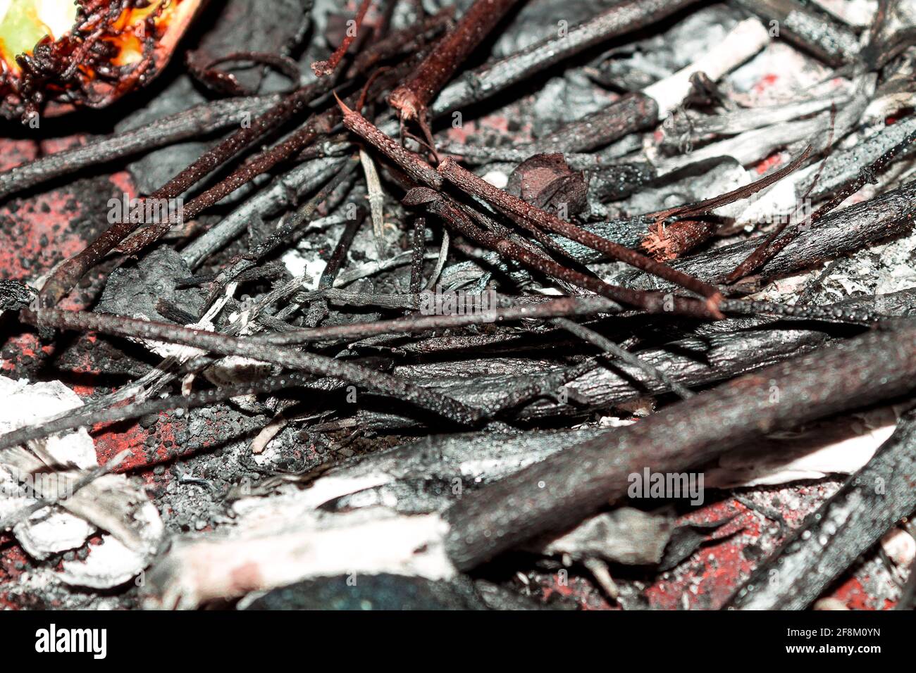 High angle shot of burnt ashes and small wooden sticks Stock Photo - Alamy