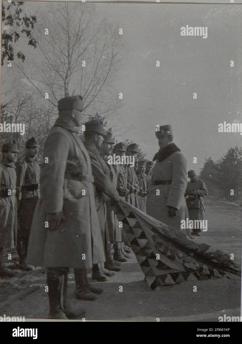 Inspecting the 37.Honvedinfanteriedivision by Archduke Karl, February ...