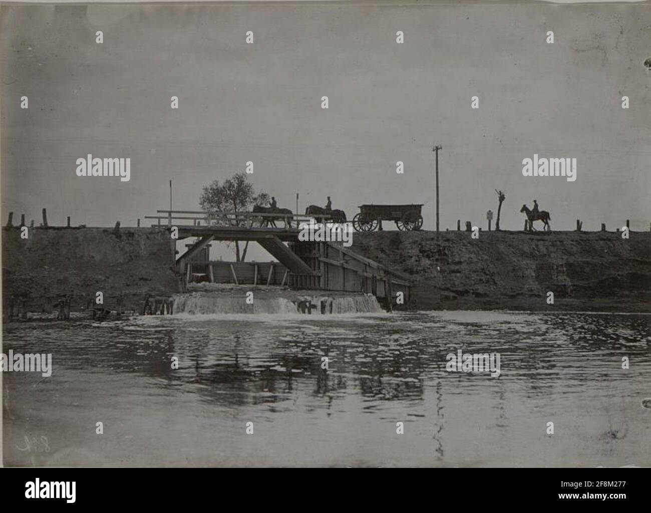 Stypa hi-res stock photography and images - Alamy