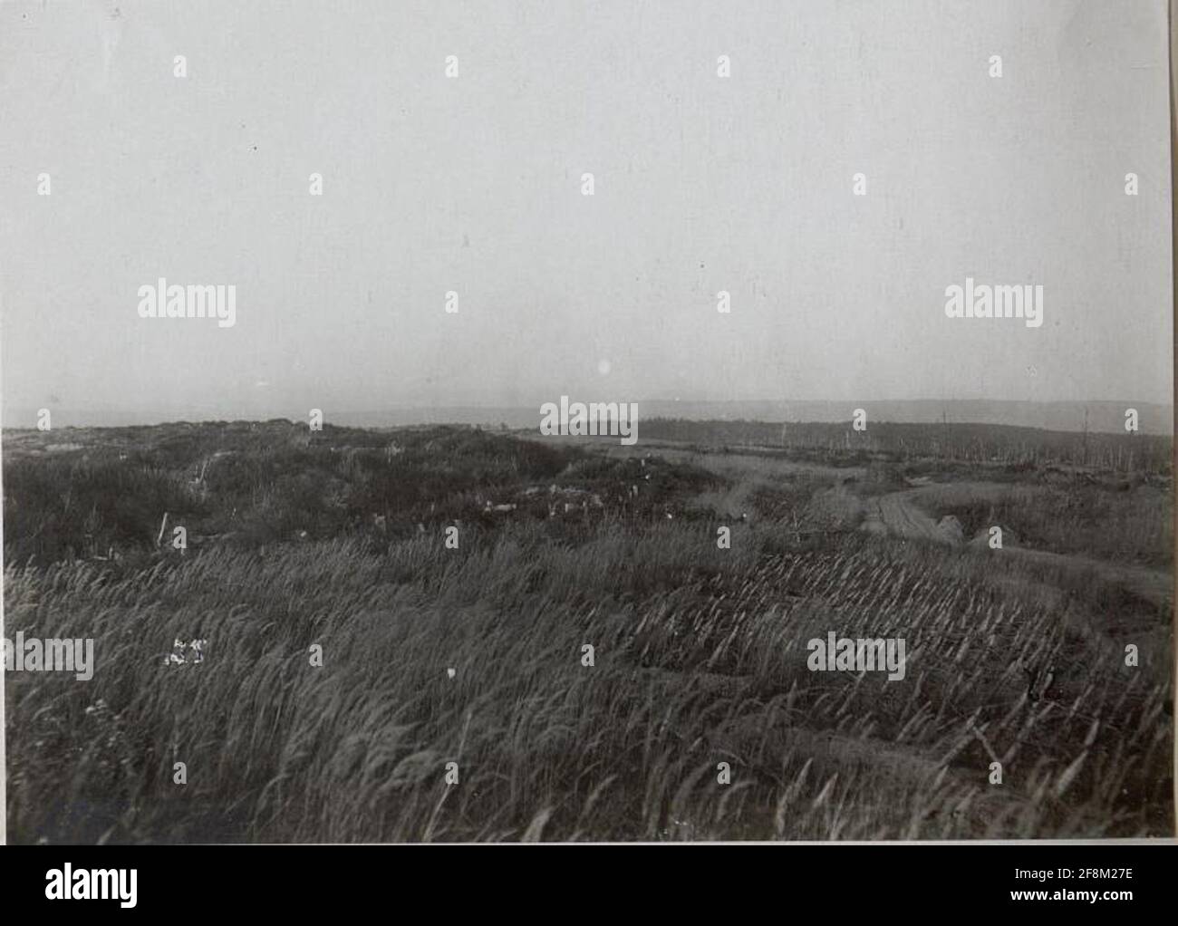 Open ground positions hi-res stock photography and images - Alamy