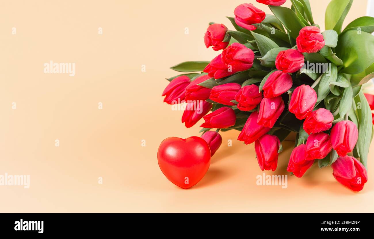 Declaration background hi-res stock photography and images - Alamy