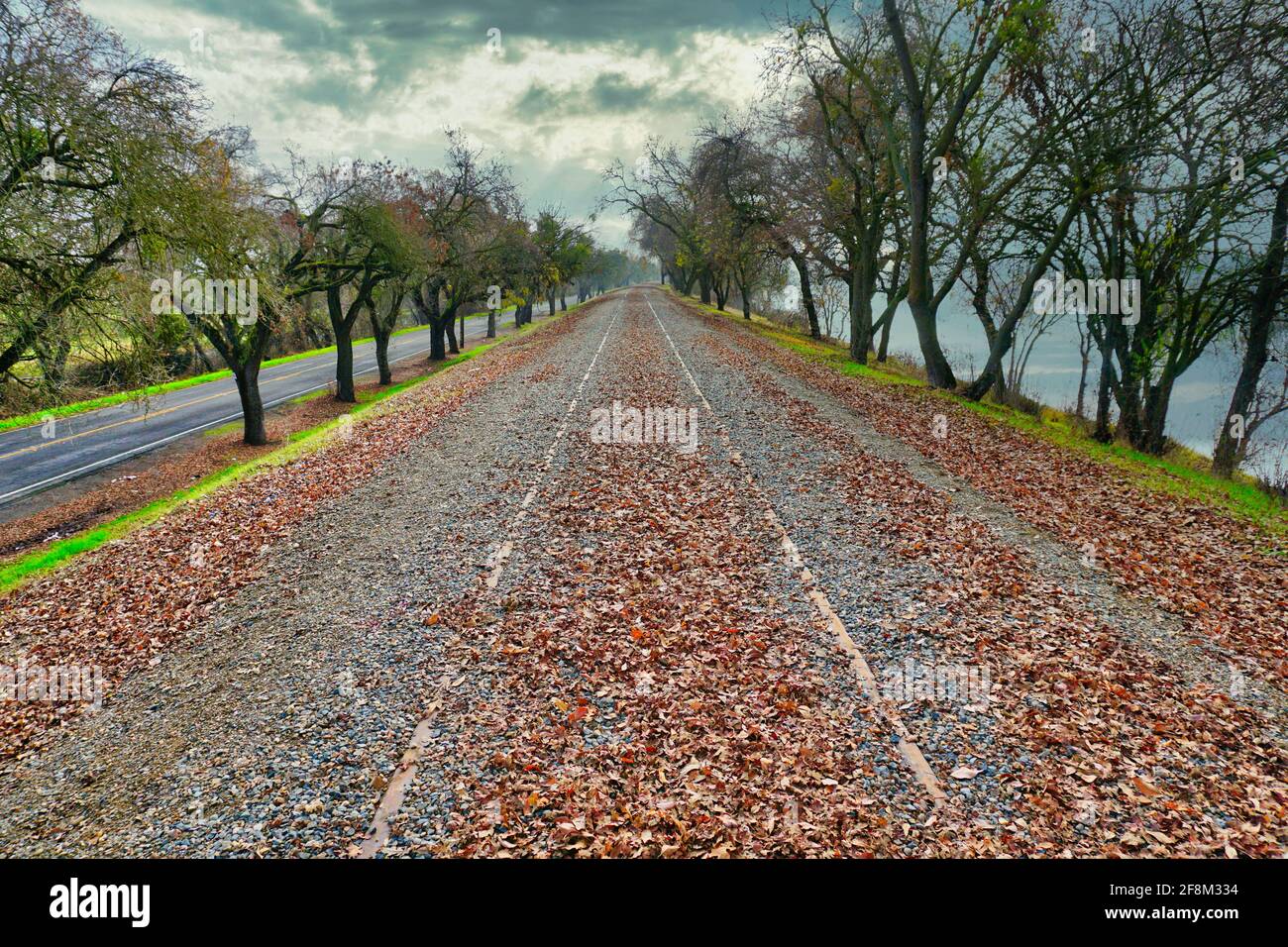 Beautiful view of the pathway parallel to the road covered in leaves on ...