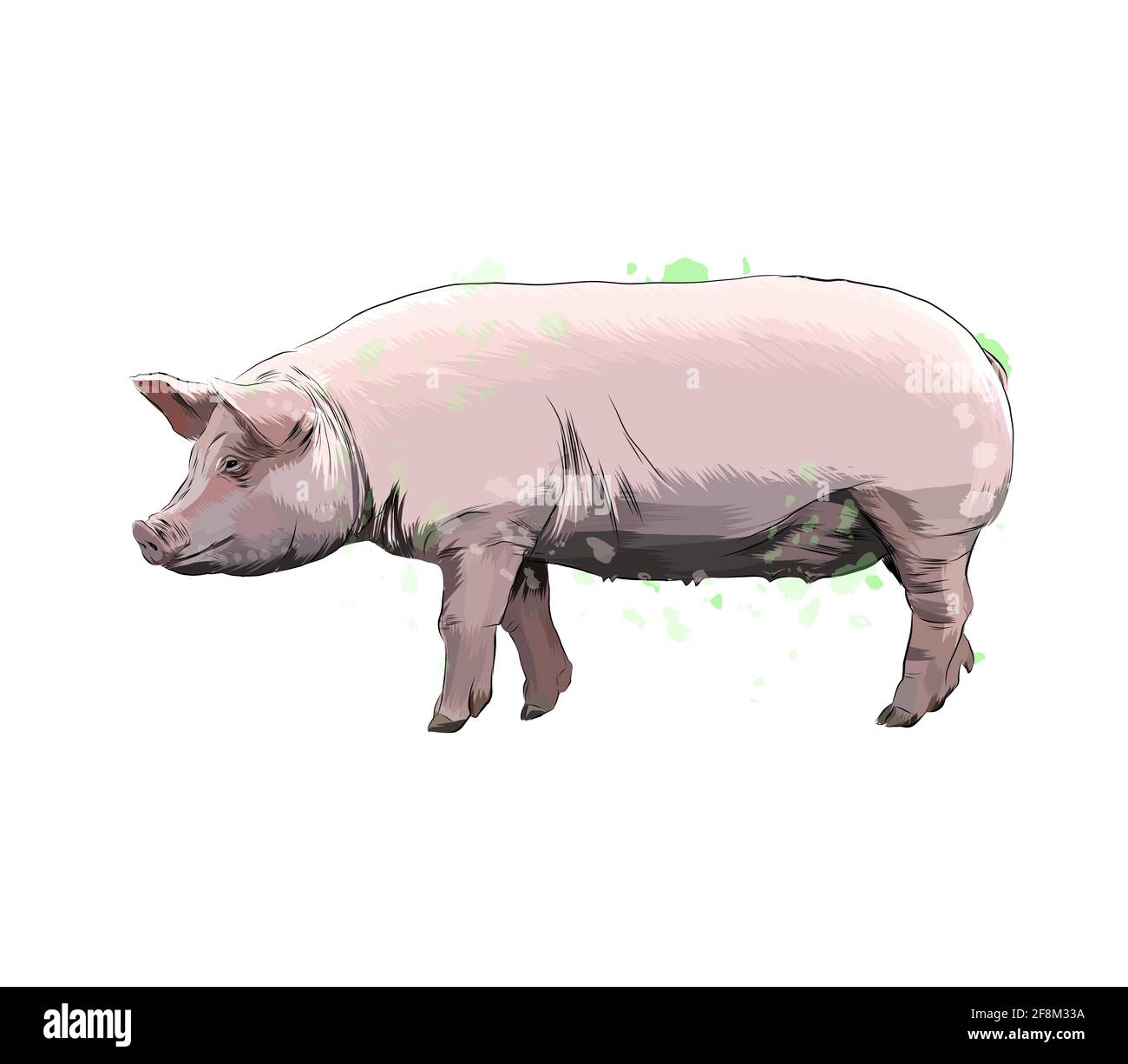Fat animals drawing hi-res stock photography and images - Alamy