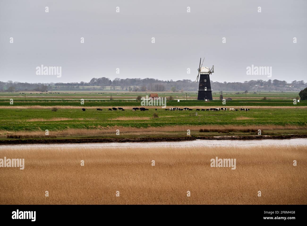 Windmill cattle country hi-res stock photography and images - Alamy