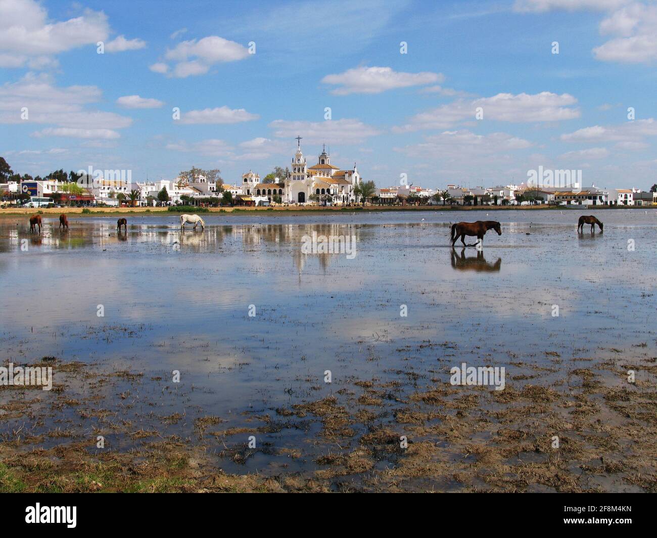 Our lady of el rocio hi-res stock photography and images - Alamy