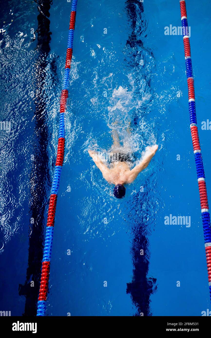 Male professional competitive swimmer in swimming pool, view from above ...