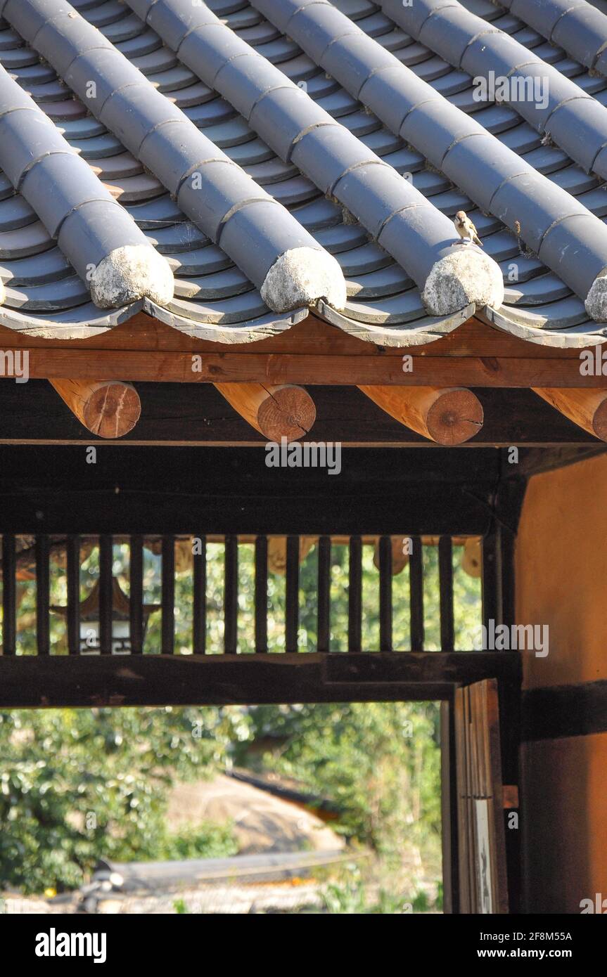gate with traditional hanok roof in hahoe folk village, andong, south ...