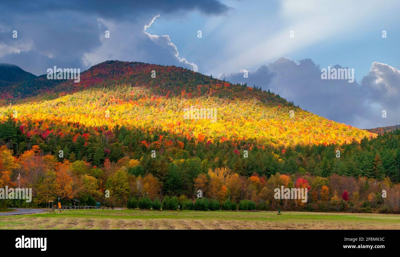 Brilliant autumn color in the Green Mountains of the Adirondack ...