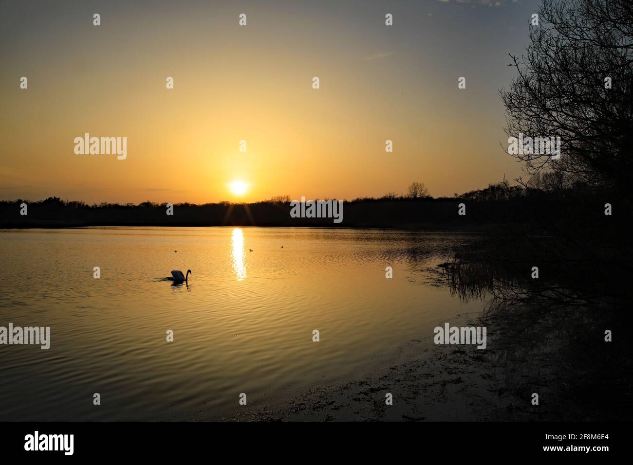 Groby hi-res stock photography and images - Alamy