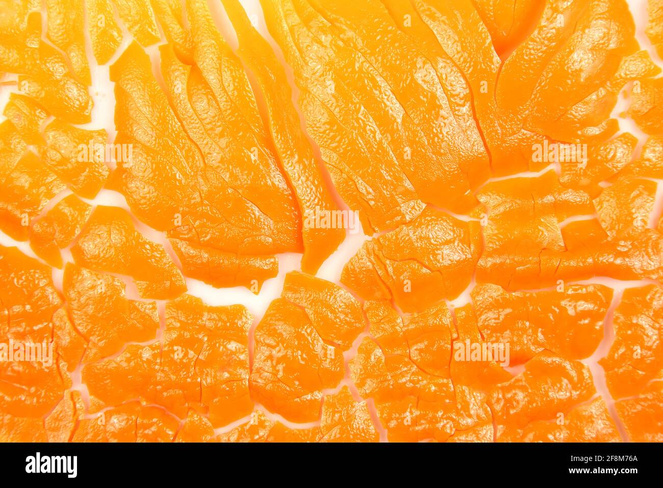Textured Egg Yolk