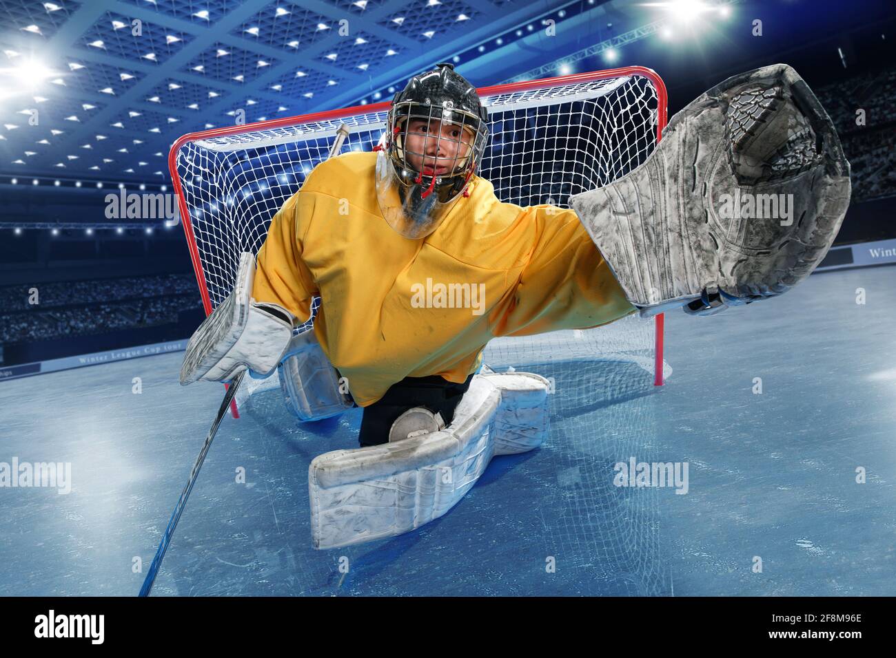 Hockey goalie padding hi-res stock photography and images - Alamy