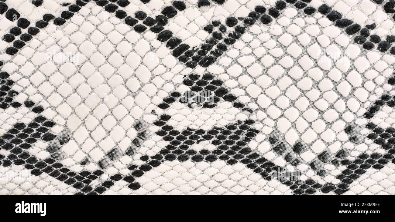 ceramic tile snake imitation skin. Skin texture background Stock Photo ...