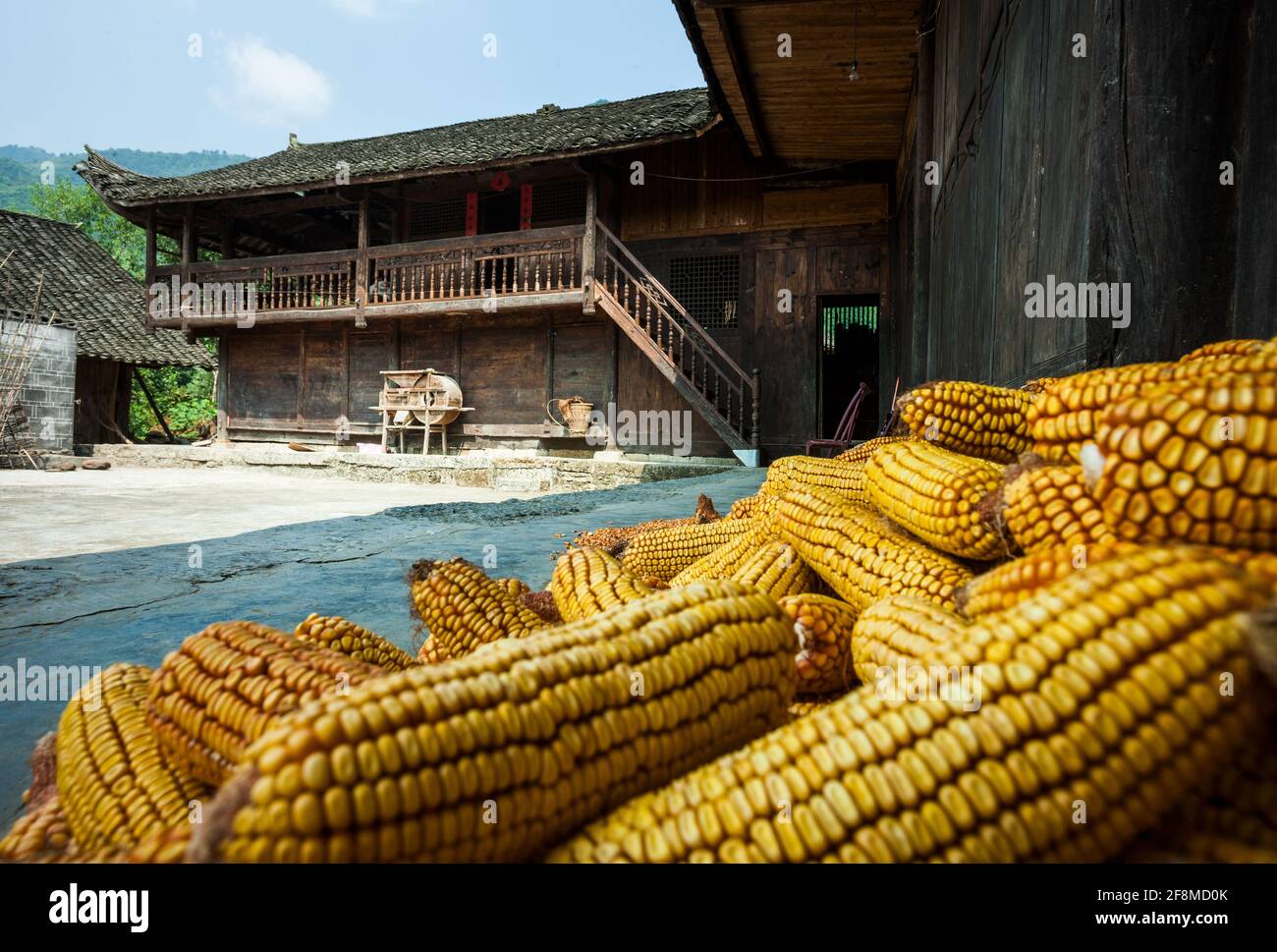Longshan county, xiangxi tujia and miao autonomous prefecture of hunan ...