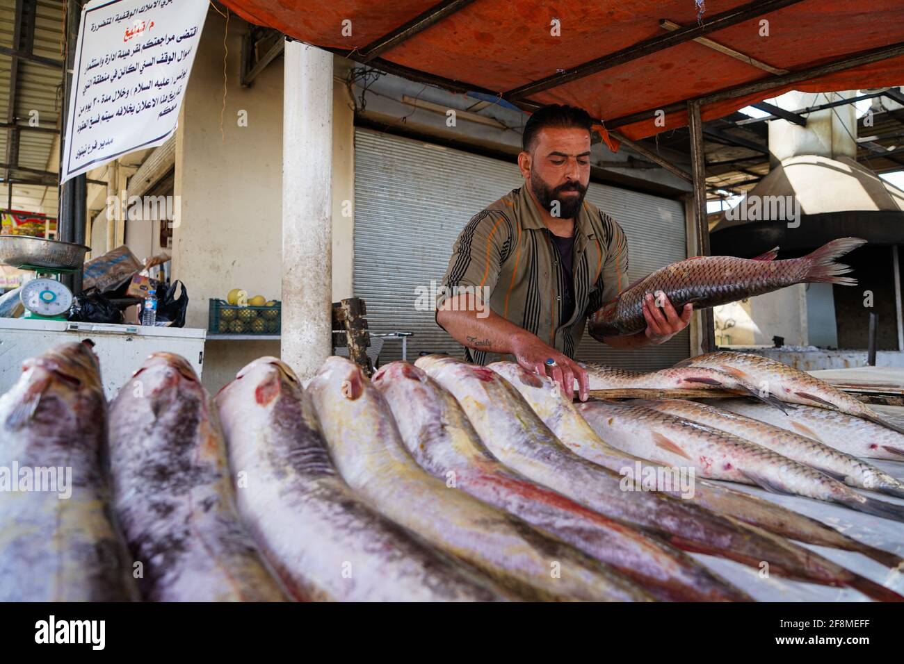 Mosul, Iraq. 14th Apr, 2021. The fish seller seen standing next to his ...