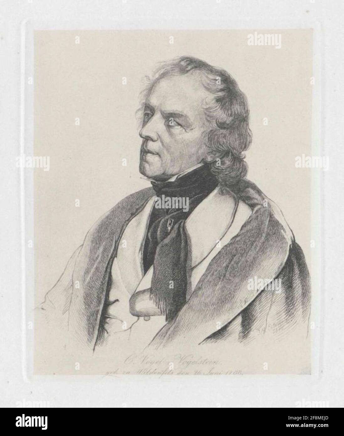 Bird of Ergstein, Carl Christian Stock Photo - Alamy