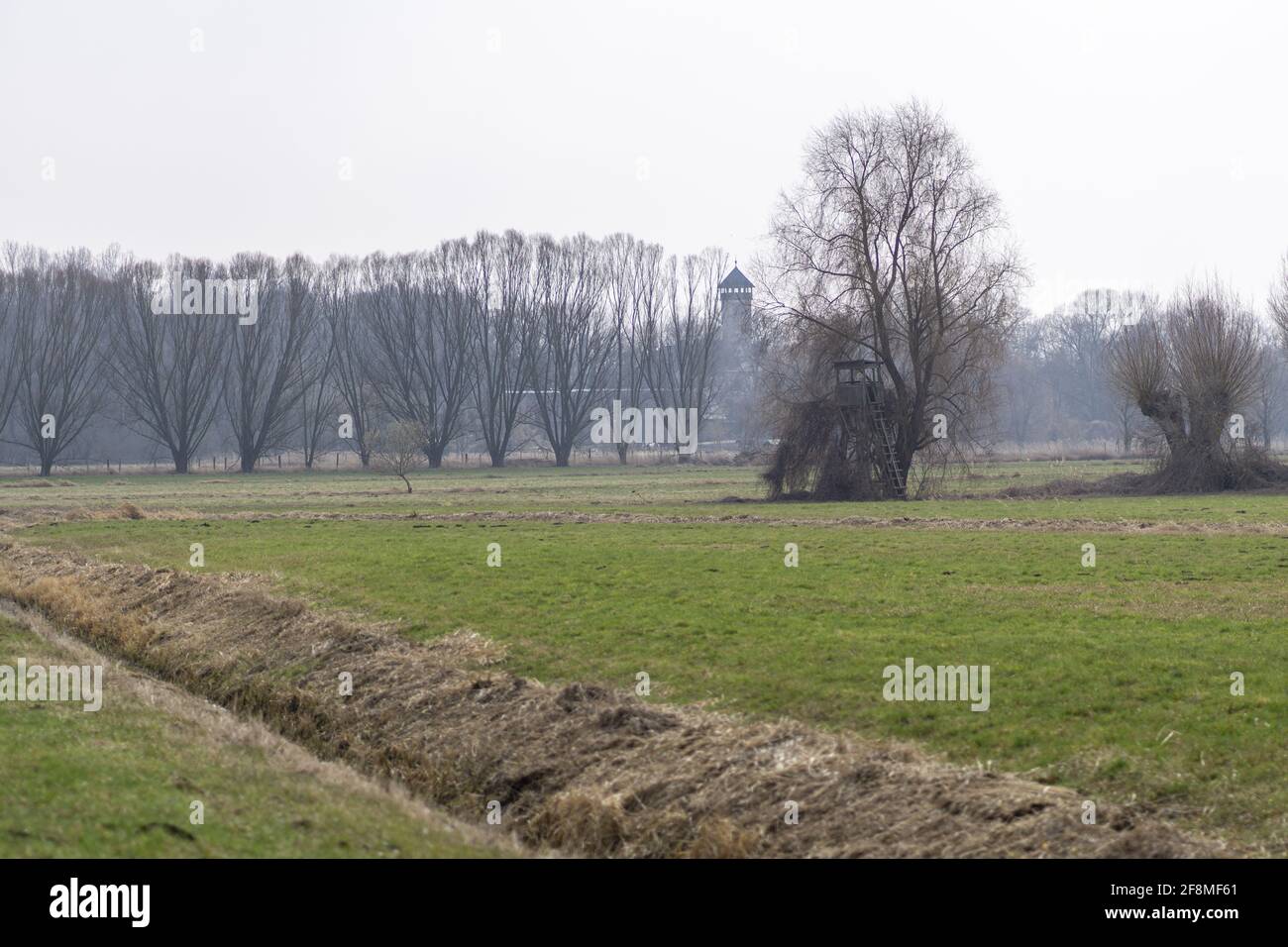 Field of trimmed grass with trees and a castle tower in the background ...