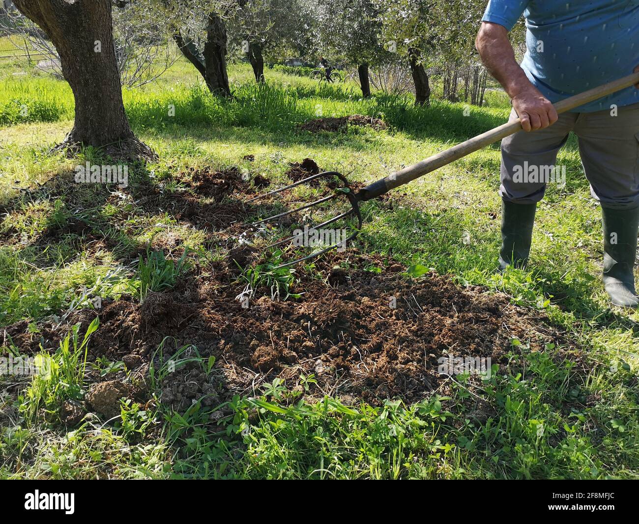 Farmer digging field hi-res stock photography and images - Alamy