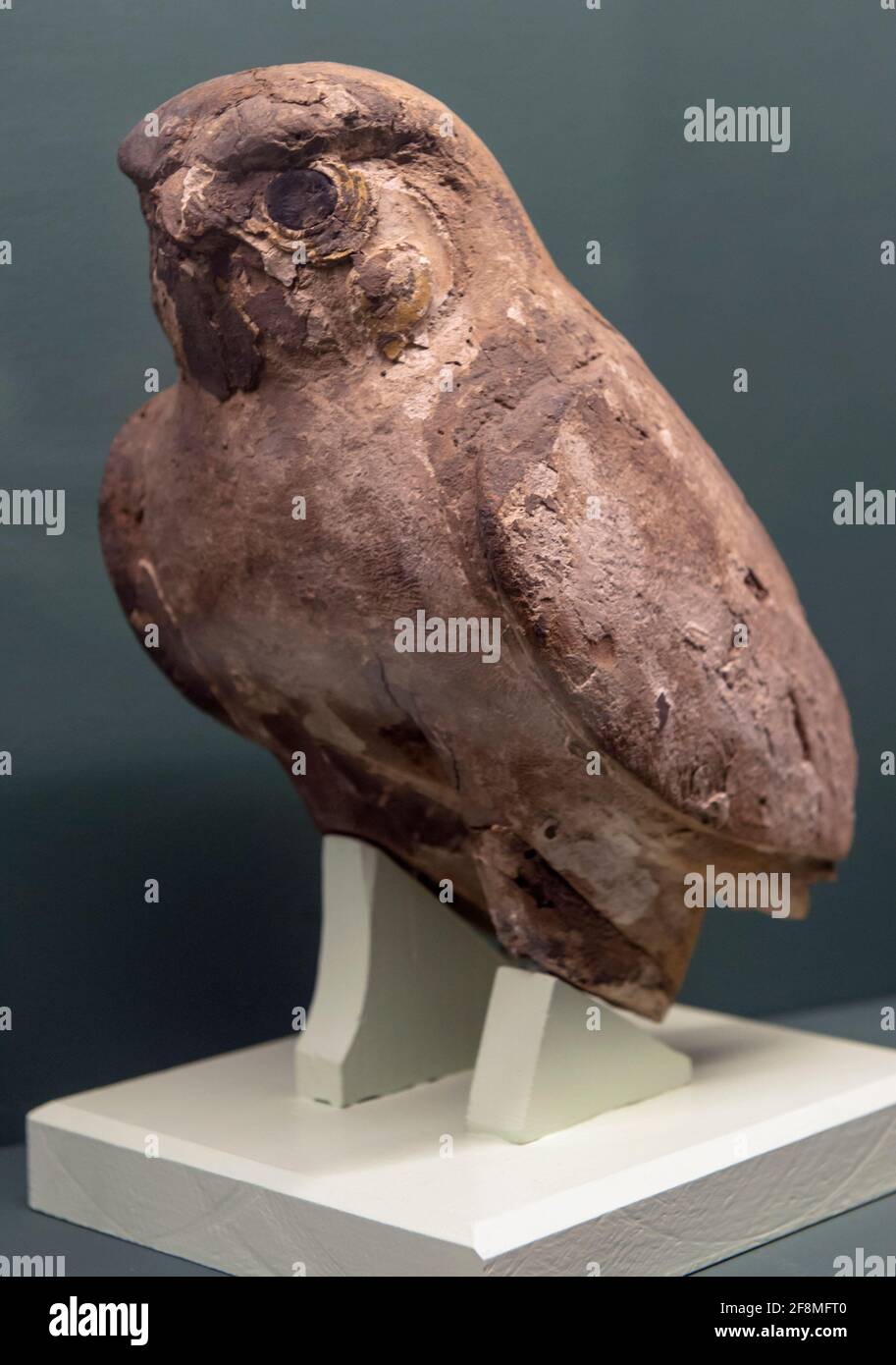 San Jose, California, USA. 14th Apr, 2021. A Falcon Mummy Coffin is ...