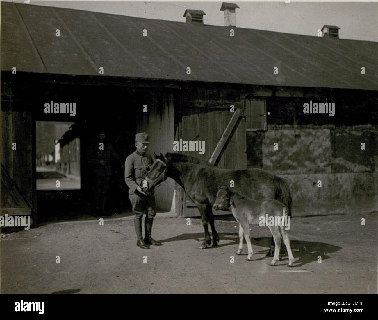 Commander of the Mobile Shadow Depot 7. Warmbade Villach Stock Photo ...
