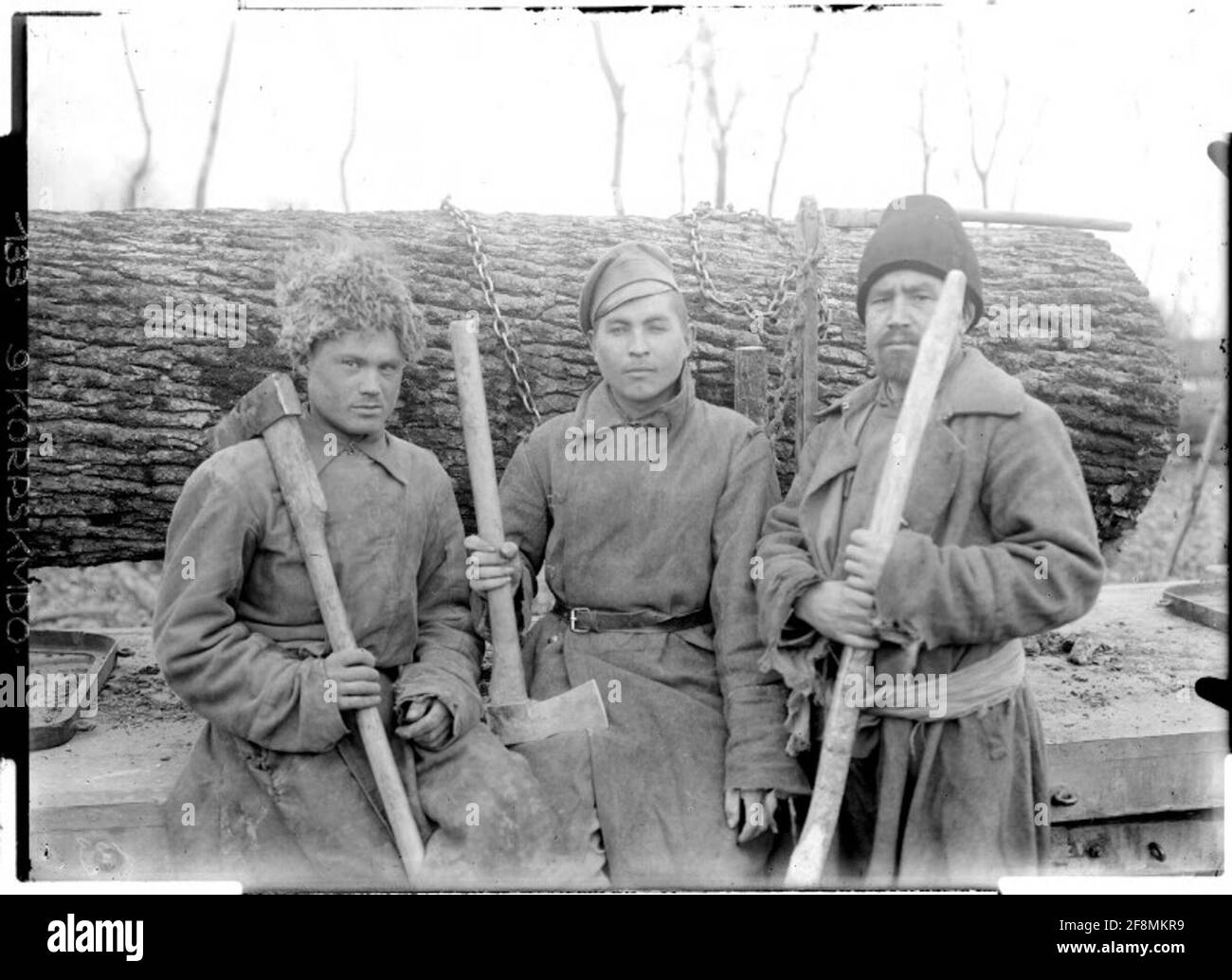 Group of men Russian prisoners of war responsible for the felling work ...