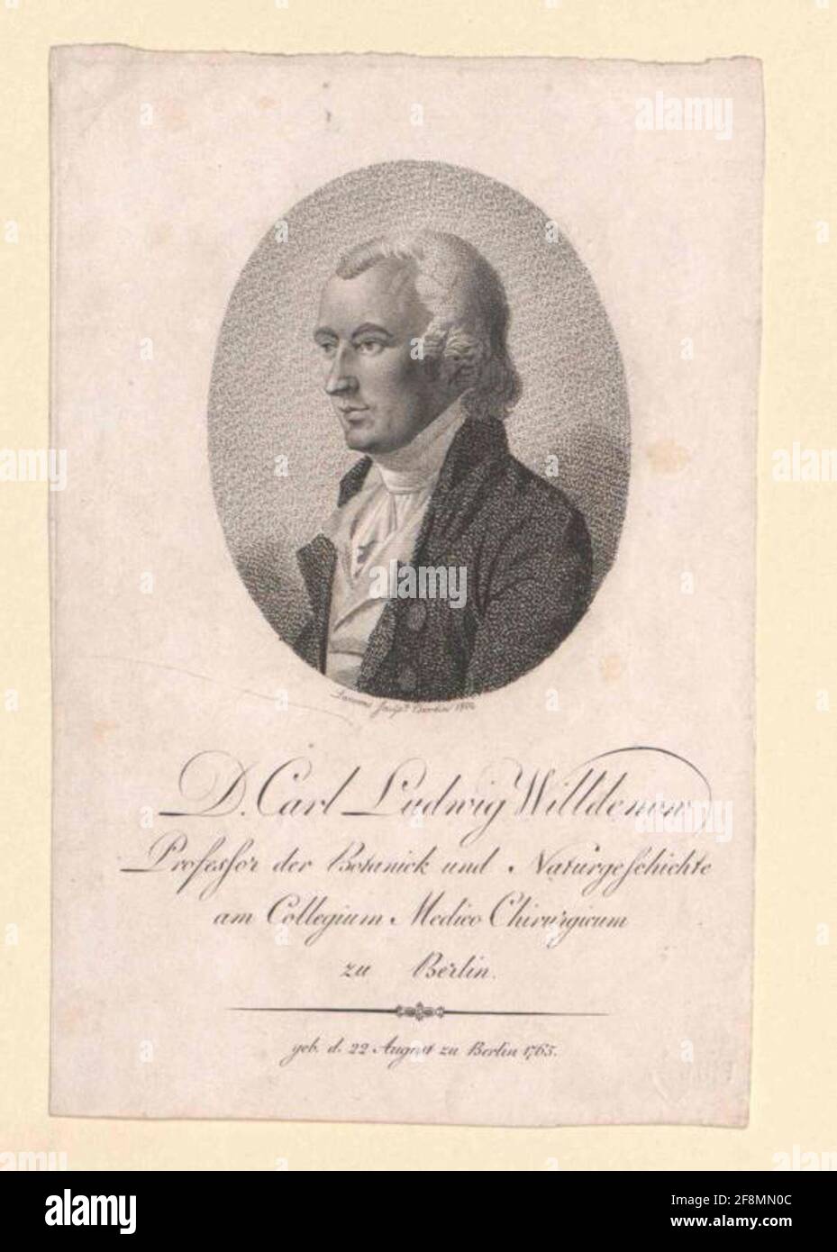 Willdenow, Karl Ludwig Stecher: Laurenz, Johann Daniel (1770 Stock ...
