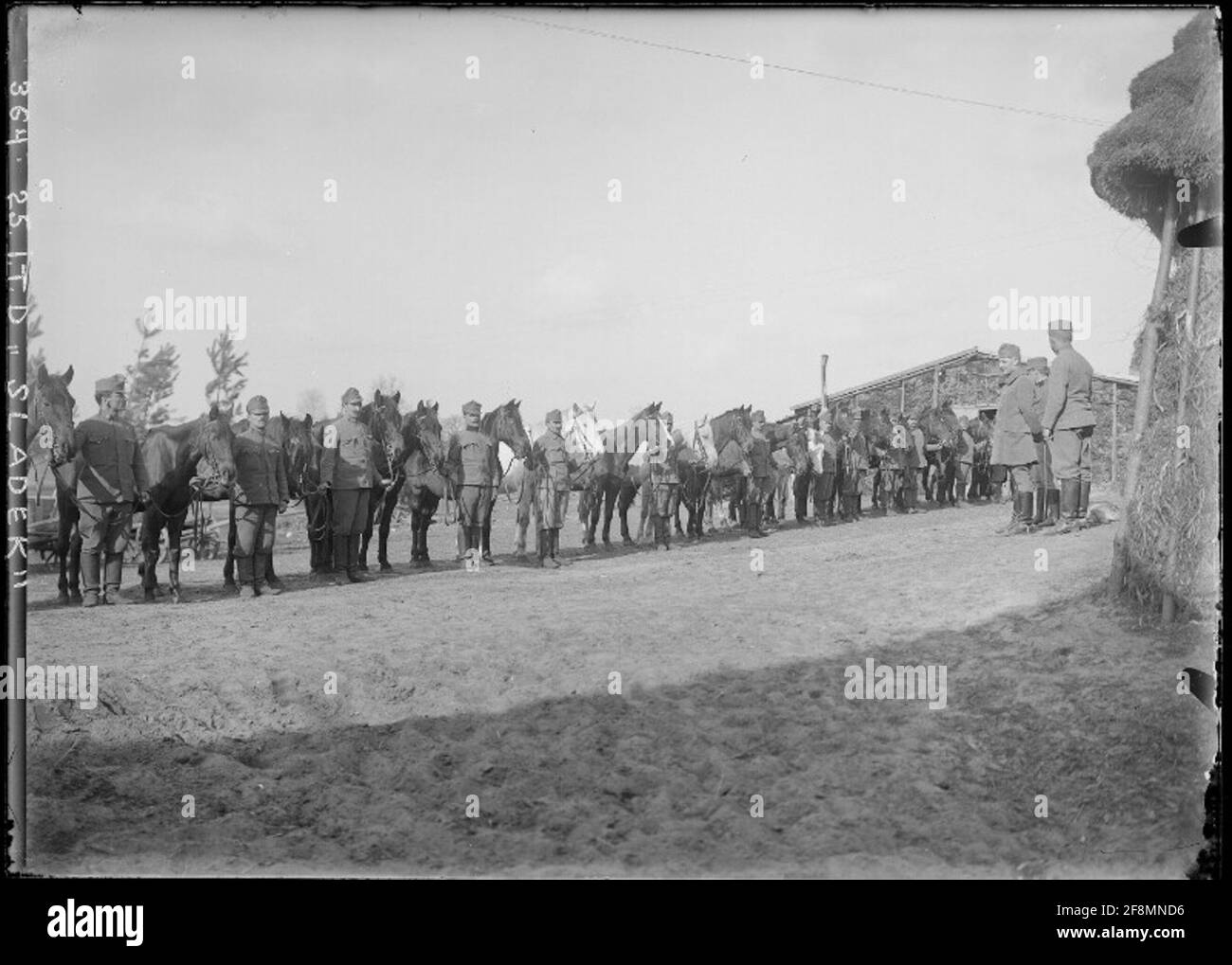 Divisions horse hi-res stock photography and images - Alamy