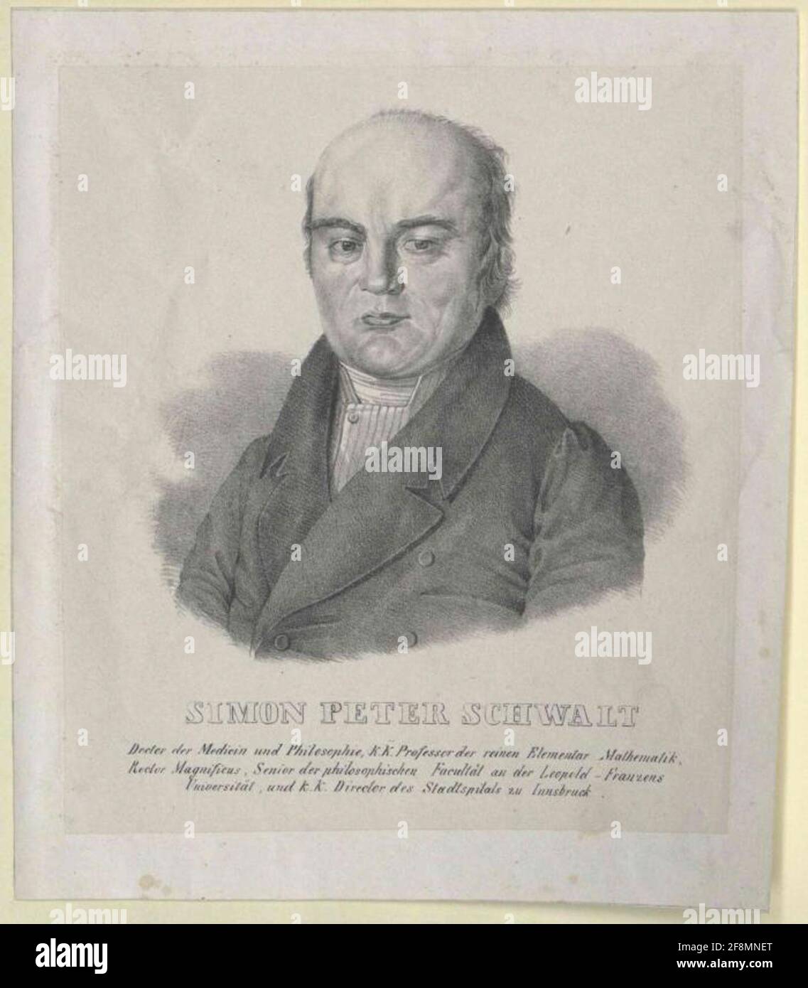 Swallion, Simon Peter Stock Photo - Alamy