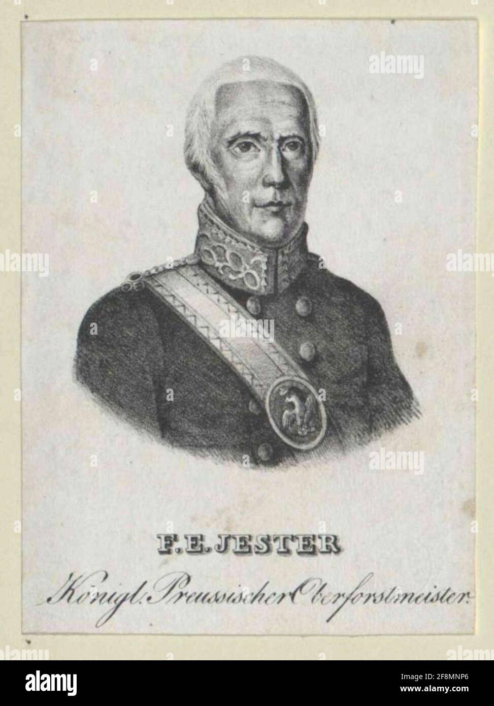 German jester hi-res stock photography and images - Alamy