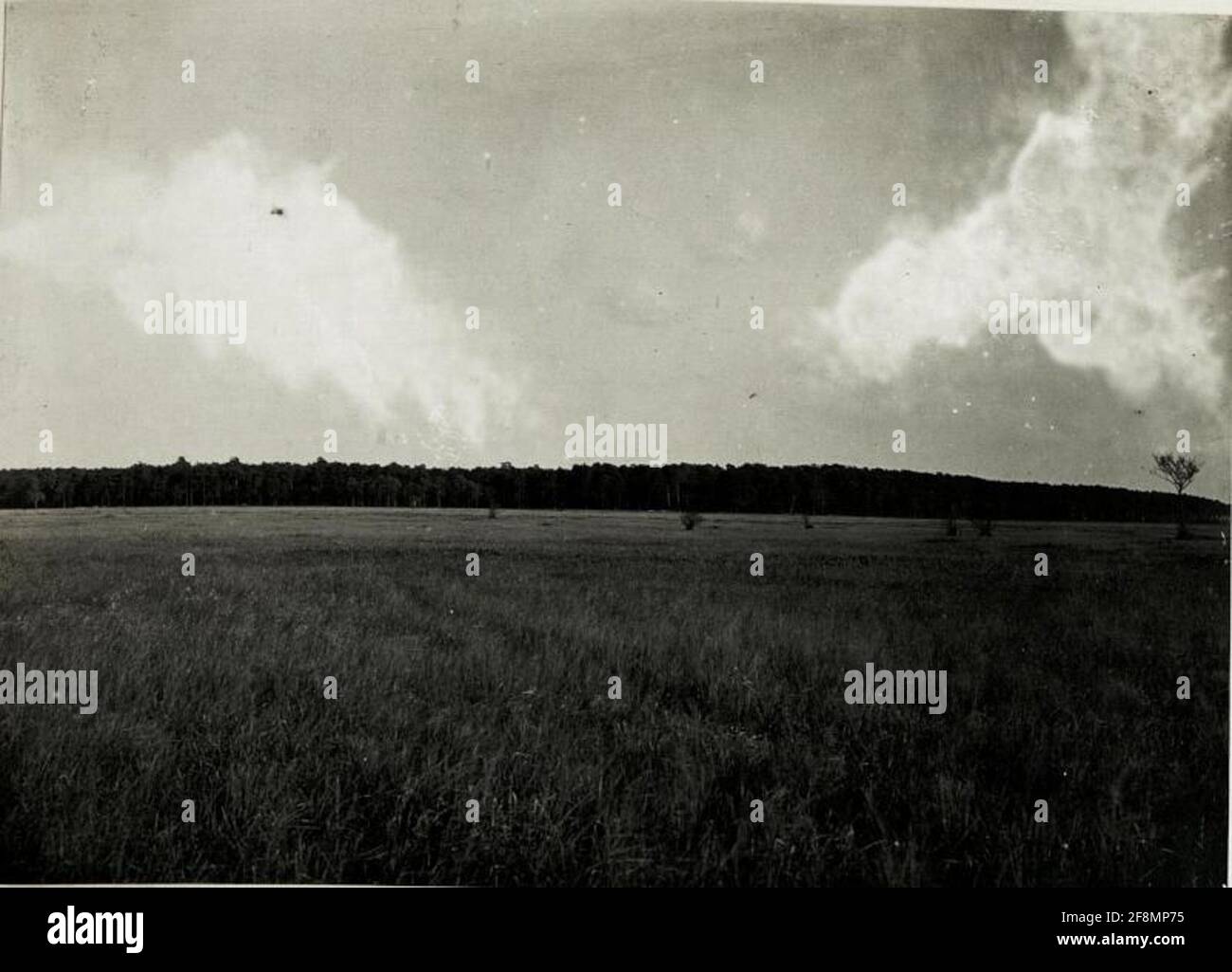 Panorama, view of Russian defense field of Nova Brshesniza Stock Photo ...