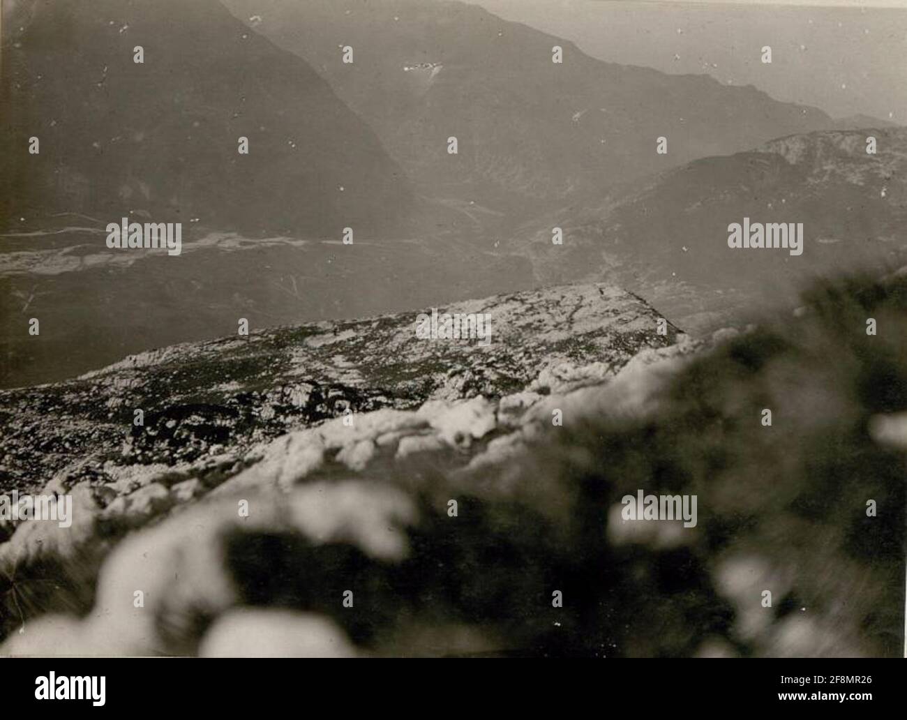 Observation point: small rombon, minerless stand, intake of fertilizers ...