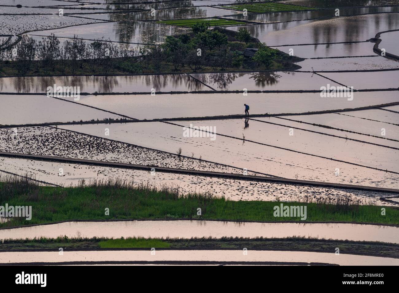CHONGQING, CHINA - APRIL 14, 2021 - A villager works in a field filled ...