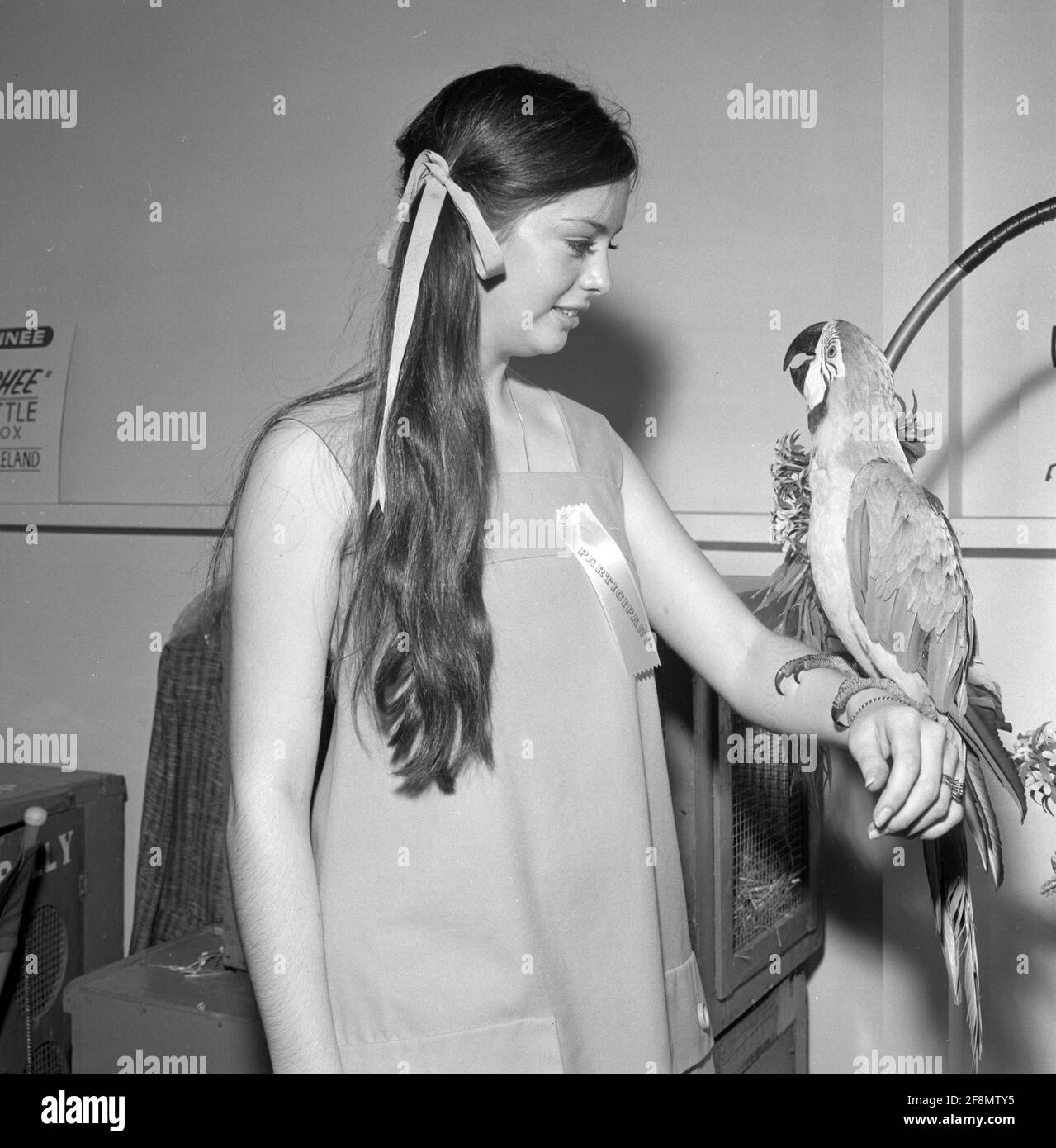 Angela cartwright hi-res stock photography and images - Alamy