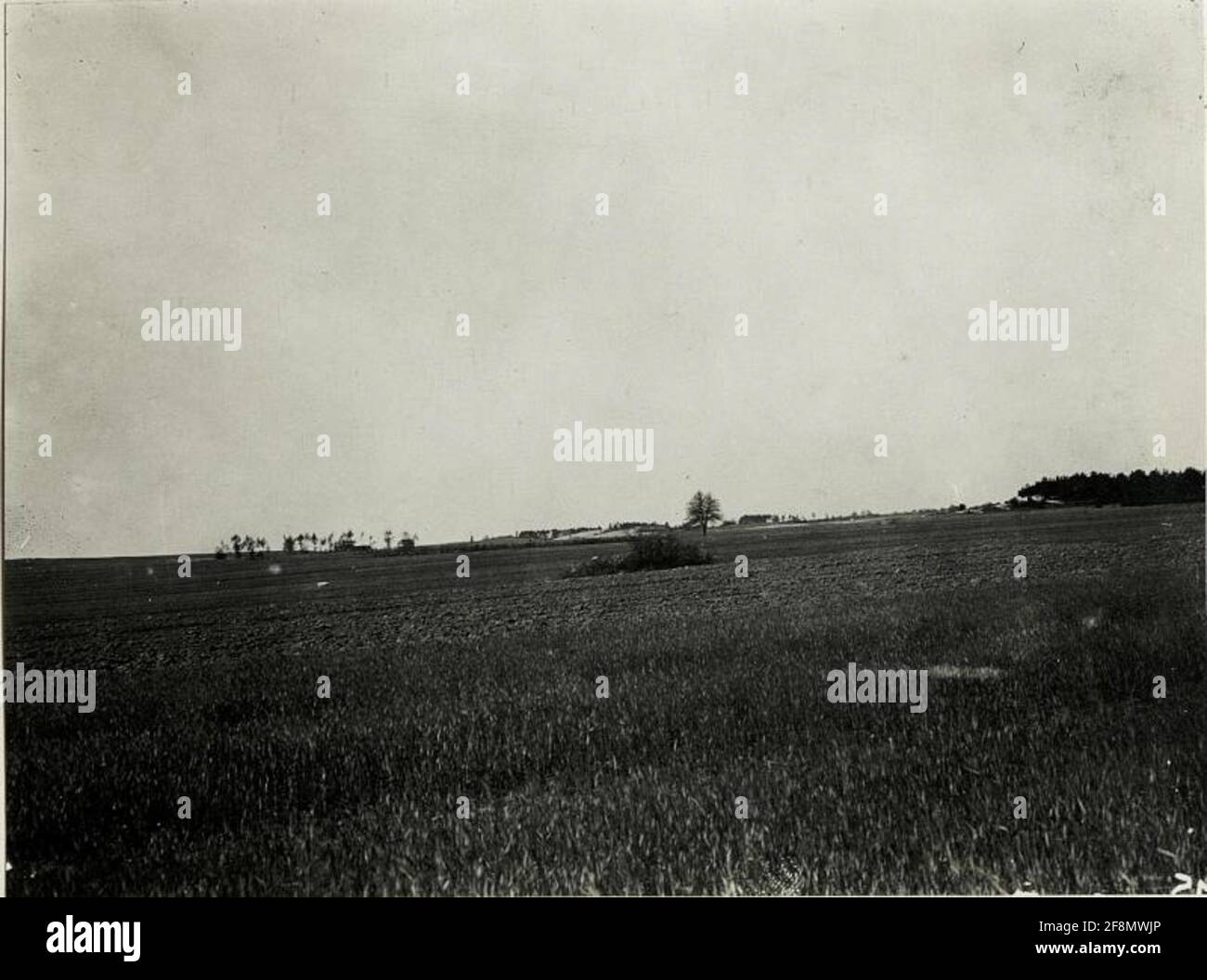 Borova - mountain, Russian position of East against West, Panorama ...