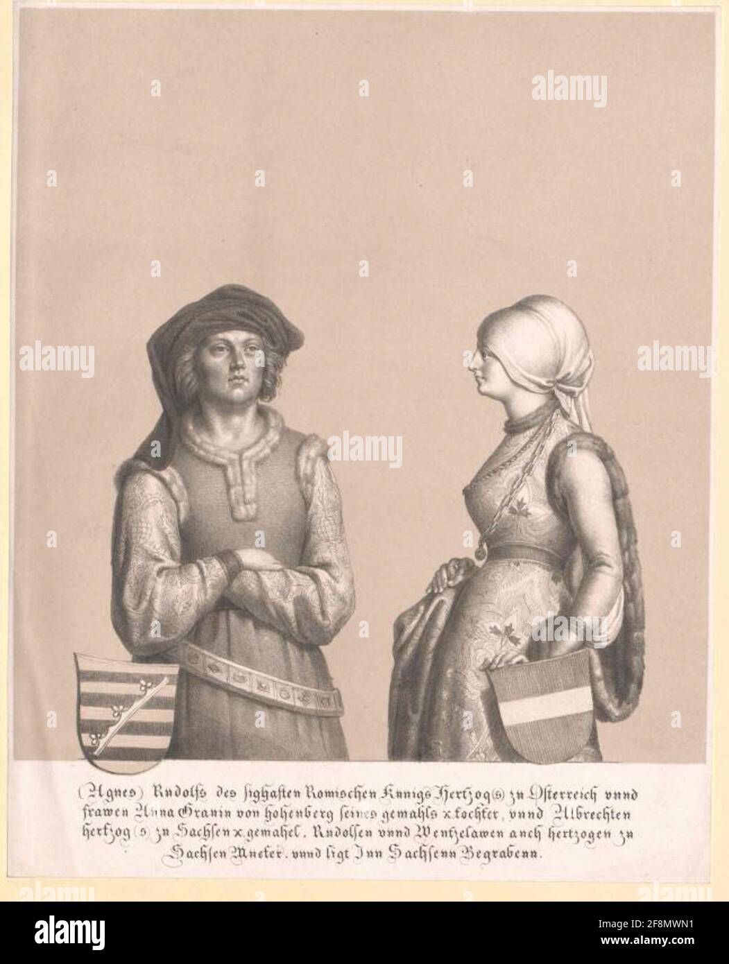 Duke albrecht ii hi-res stock photography and images - Alamy