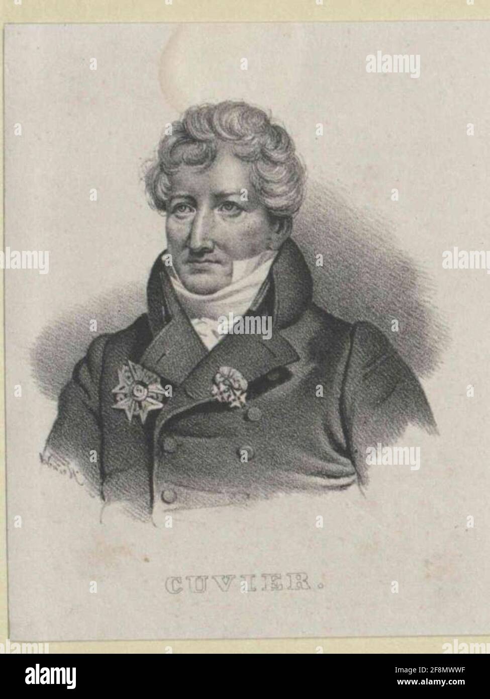 George Cuvier High Resolution Stock Photography and Images - Alamy