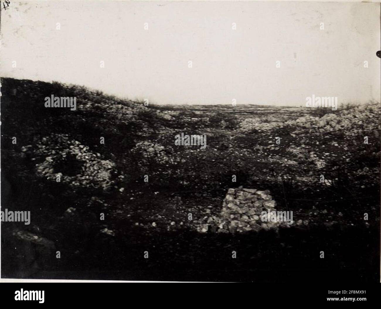 Italian funnel Stock Photo - Alamy