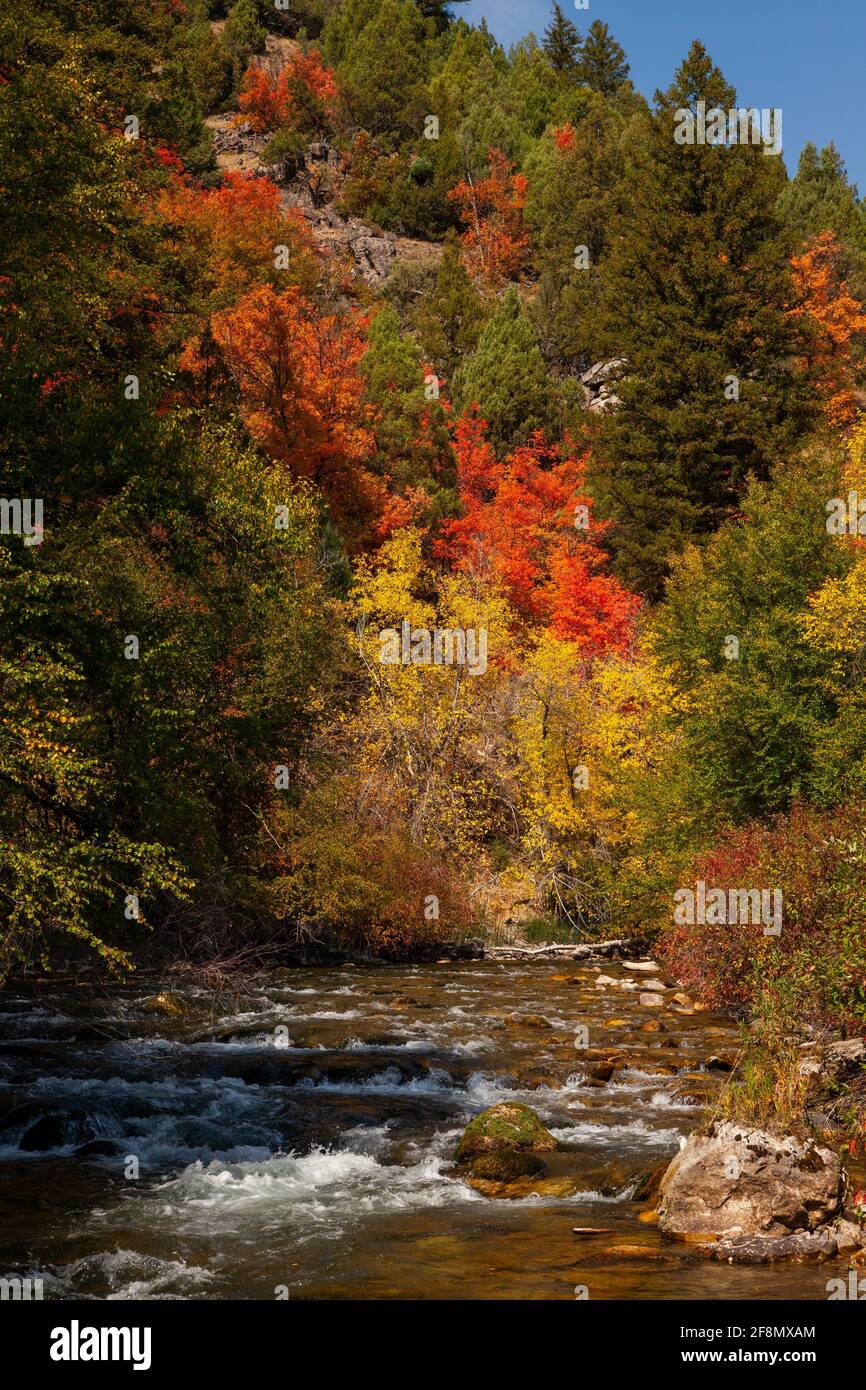 River trip along green rocky hi-res stock photography and images - Alamy
