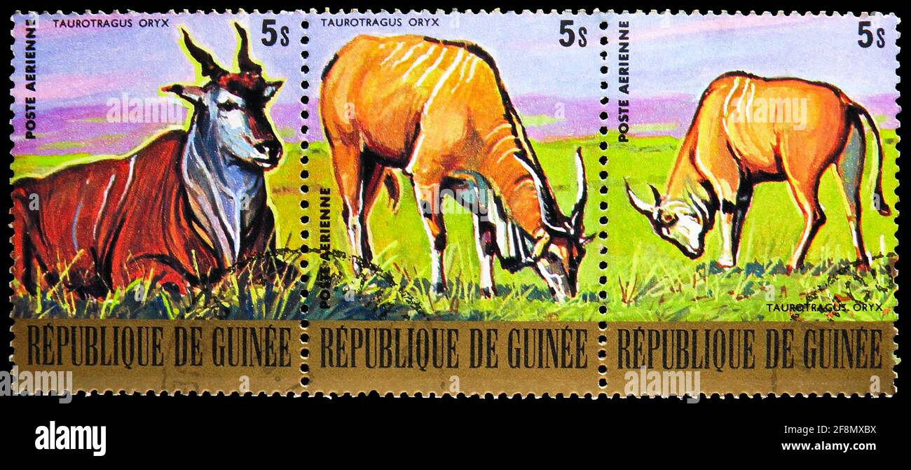 MOSCOW, RUSSIA - OCTOBER 4, 2019: Three postage stamps printed in ...