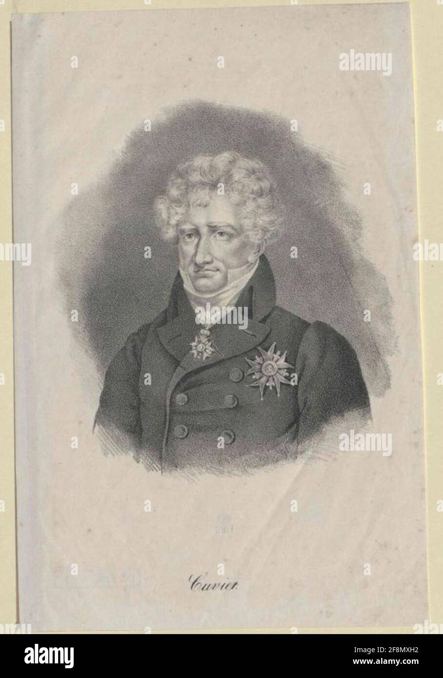 George Cuvier High Resolution Stock Photography and Images - Alamy