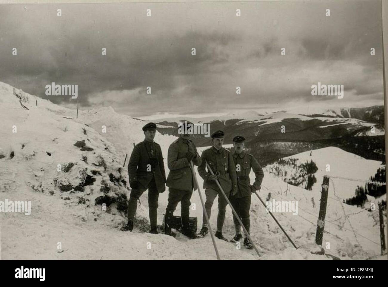 In groppa hi-res stock photography and images - Alamy