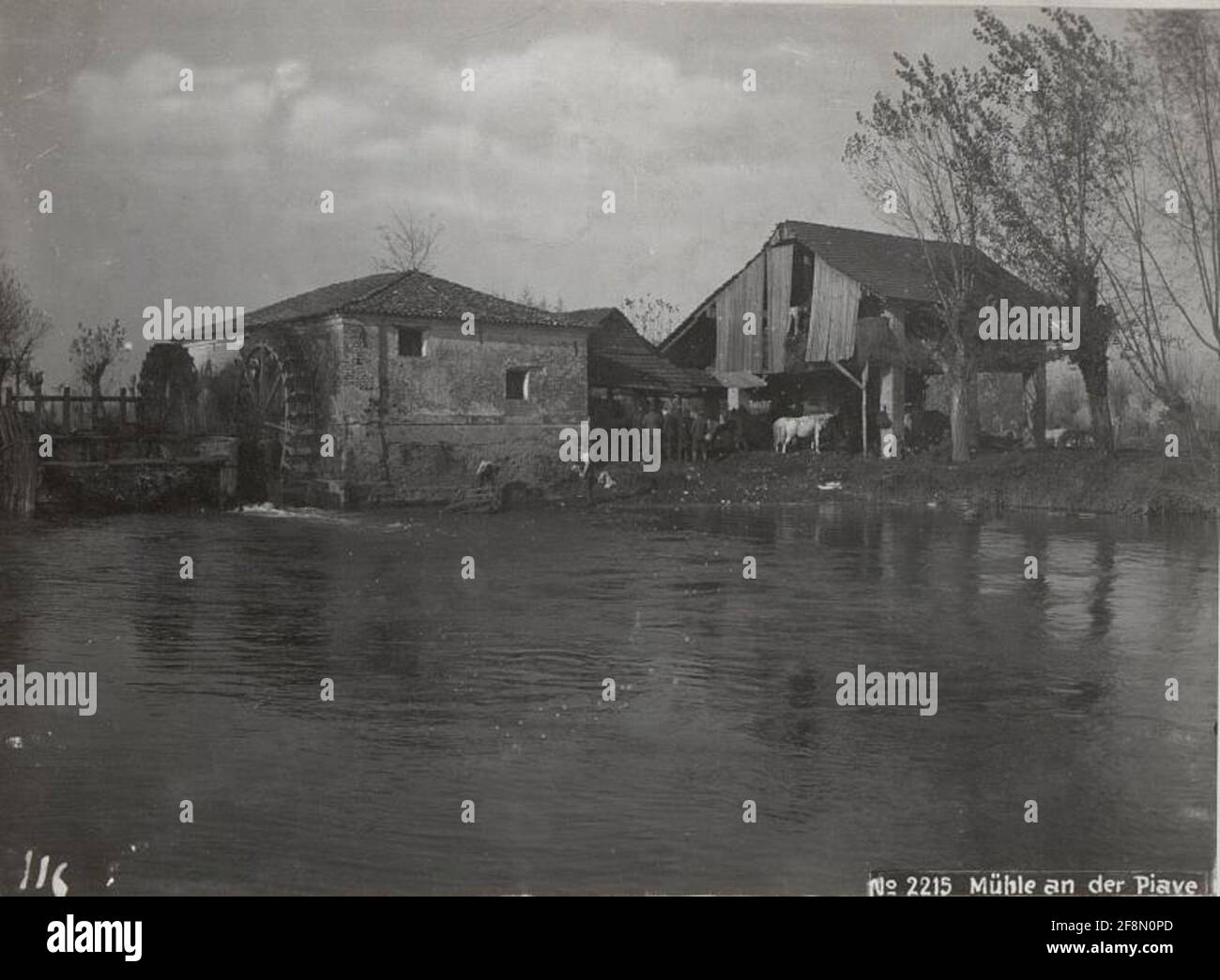 Piave riverfront hi-res stock photography and images - Alamy