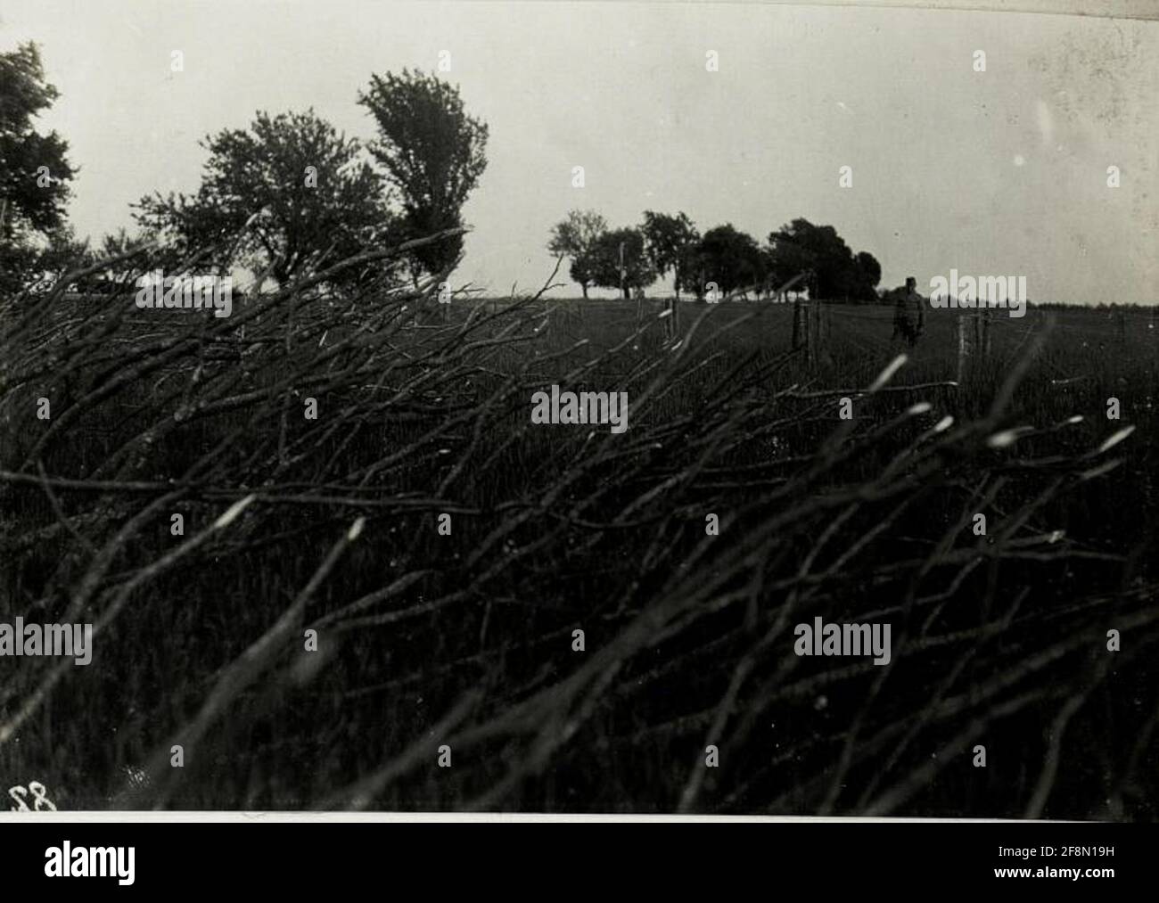 Prepared Russian position at Stryj. (Wire thorns with asst compact ...