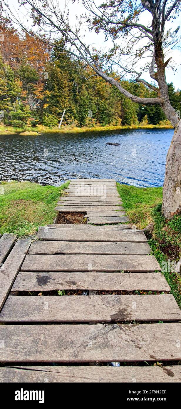 Vertical shot of wooden stairs leading to the river Stock Photo - Alamy