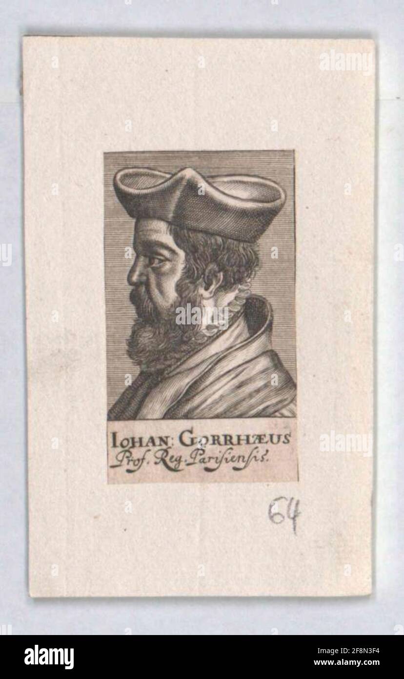 Gorris hi-res stock photography and images - Alamy