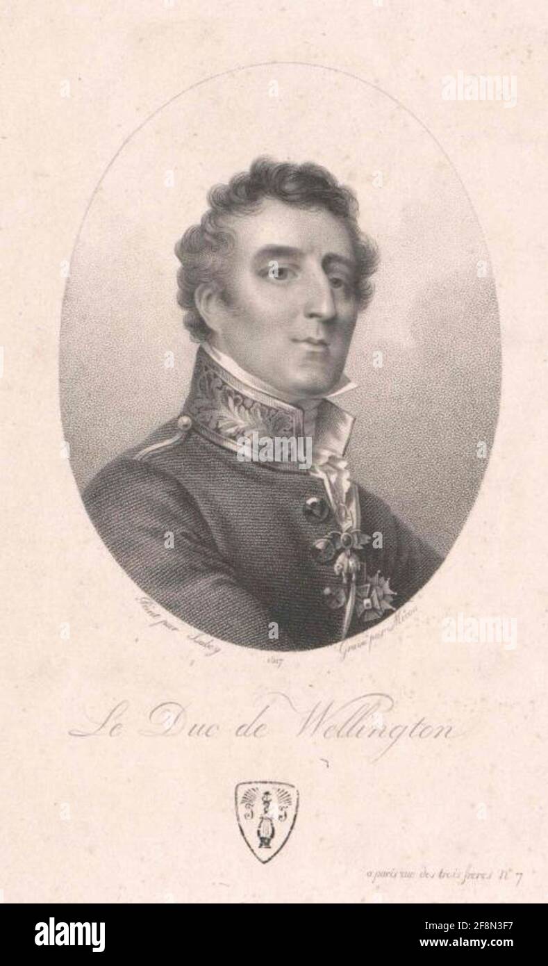 Wellington, Arthur Wellesley Duke of Stock Photo - Alamy
